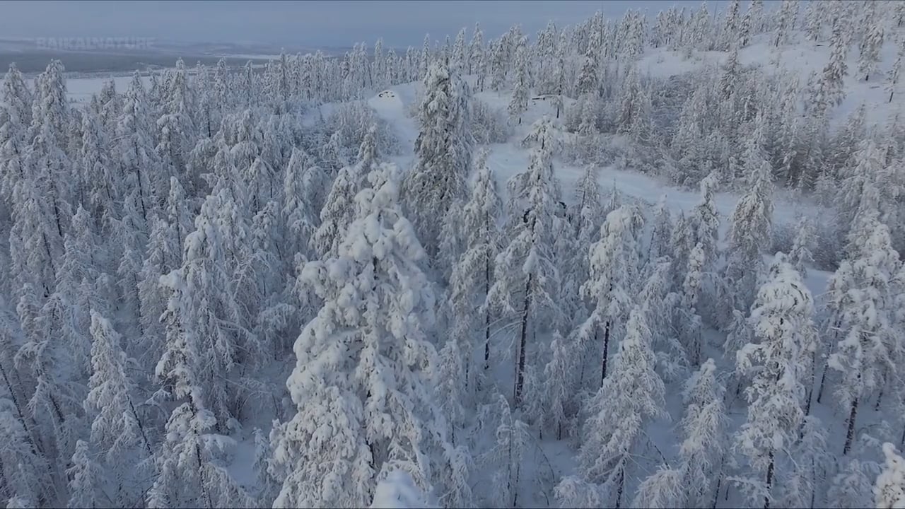 Oymyakon Pole of Cold Trip on Vimeo