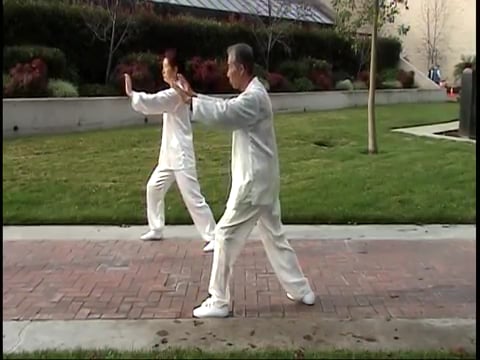 Two people mirror Tai Chi form 8 on Vimeo