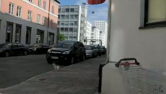 Jonas Wergeland on Vimeo