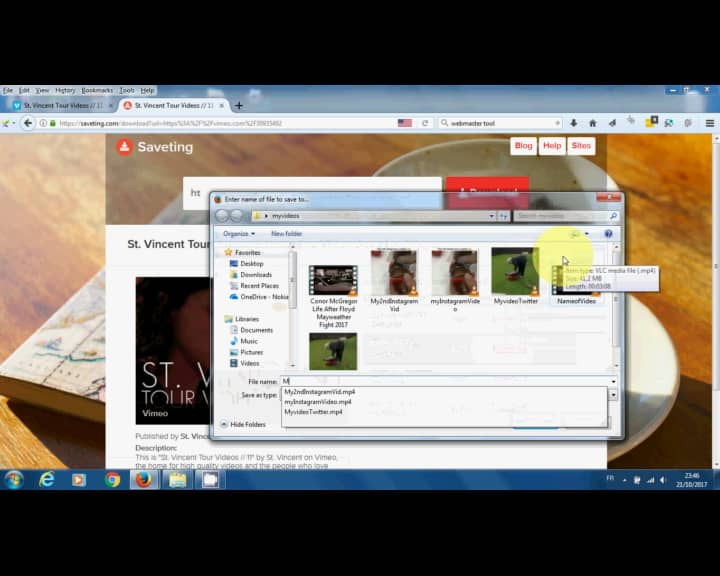 How To Use Vimeo Downloader To Save a Video From Vimeo? on Vimeo