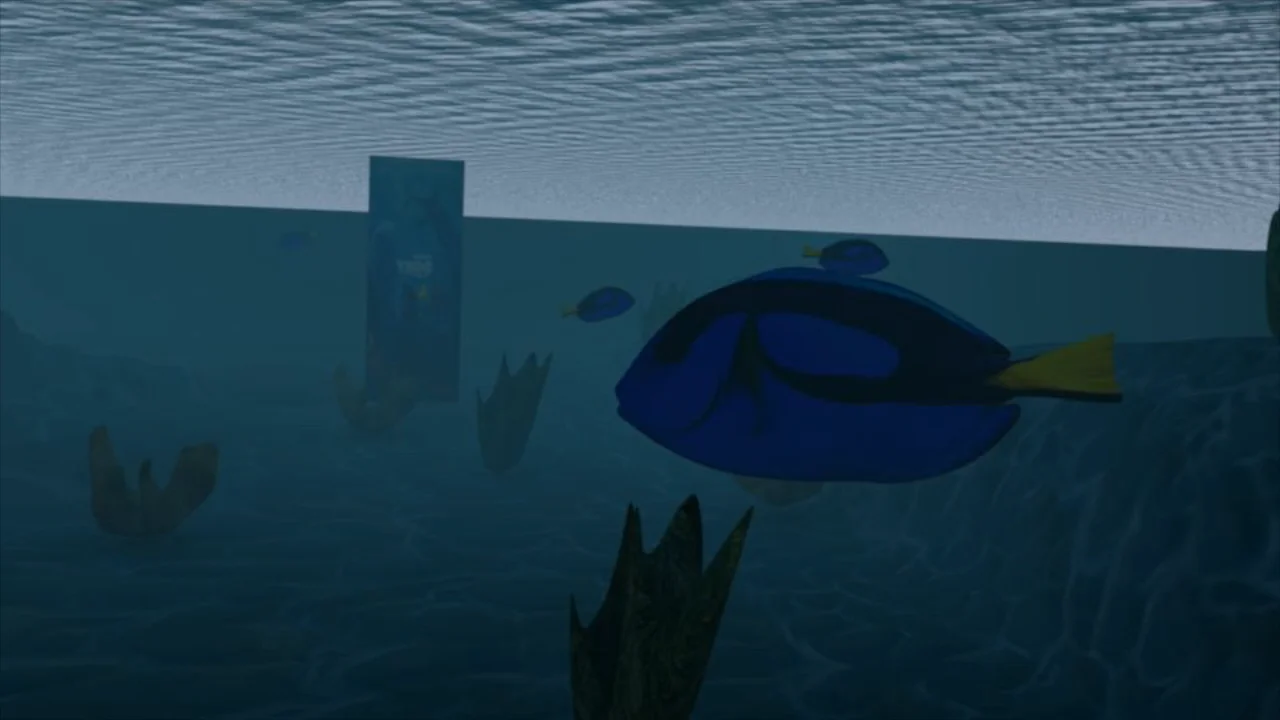 fish on Vimeo