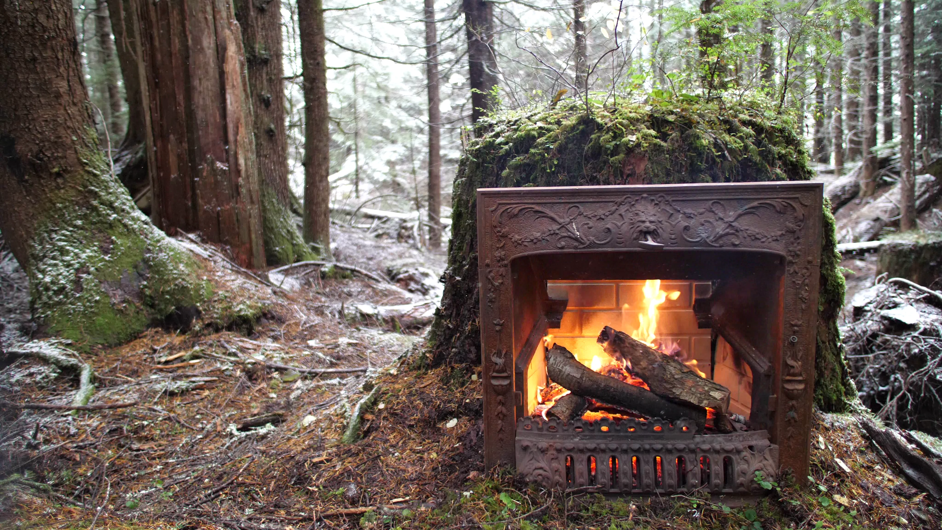 FOREST FIREPLACE on Vimeo