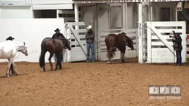 # 250ASSETS AND ELBOWSDR. TED ZAJAC IIIN315 Non-Pro 35 on Vimeo