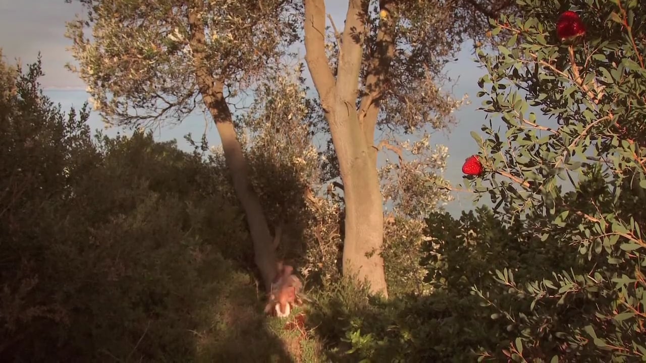 Forage Caveman on Vimeo