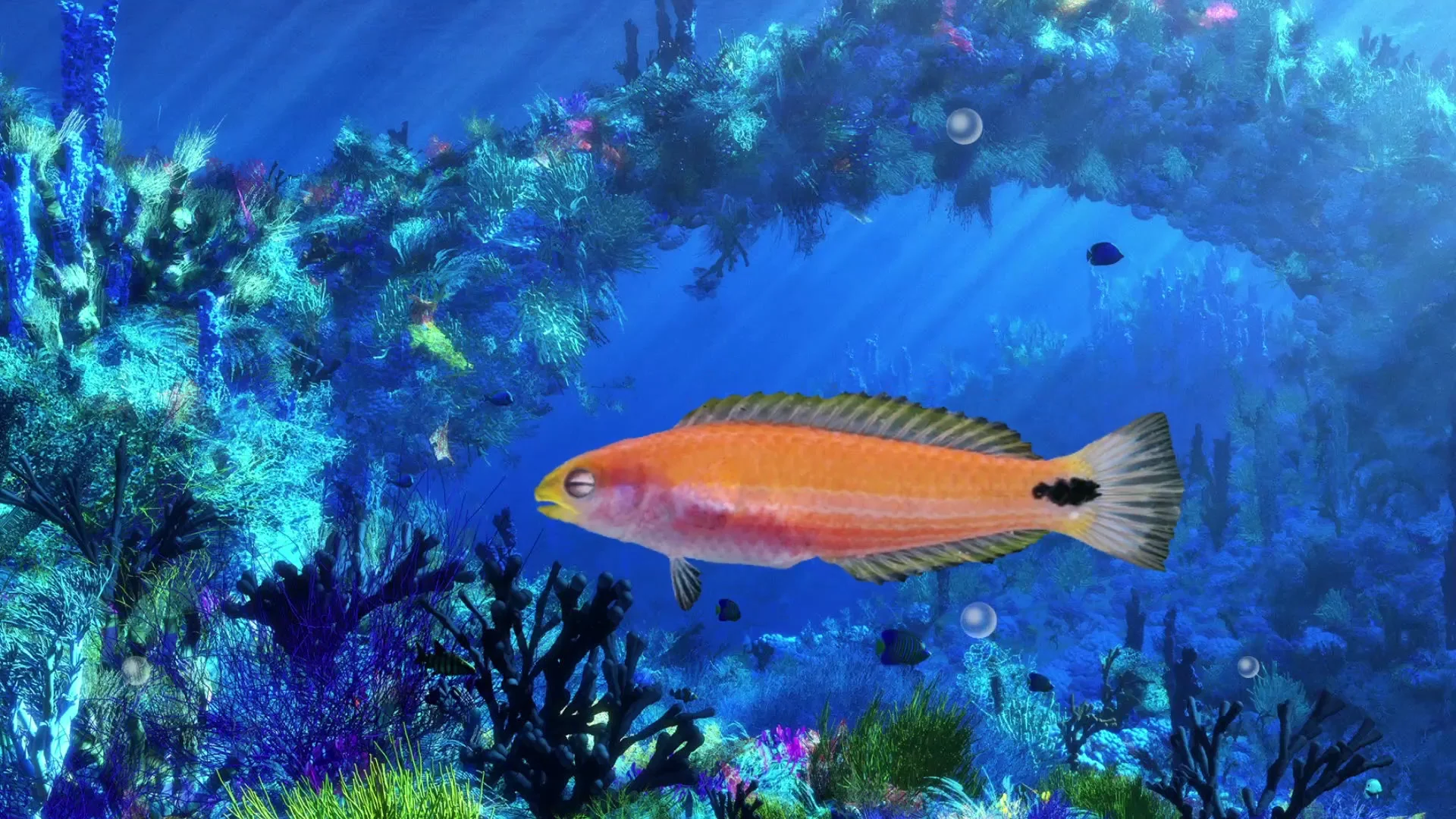 Norbert "Norby" Chabert, Louisiana State Senator, speaking as Mardi ...