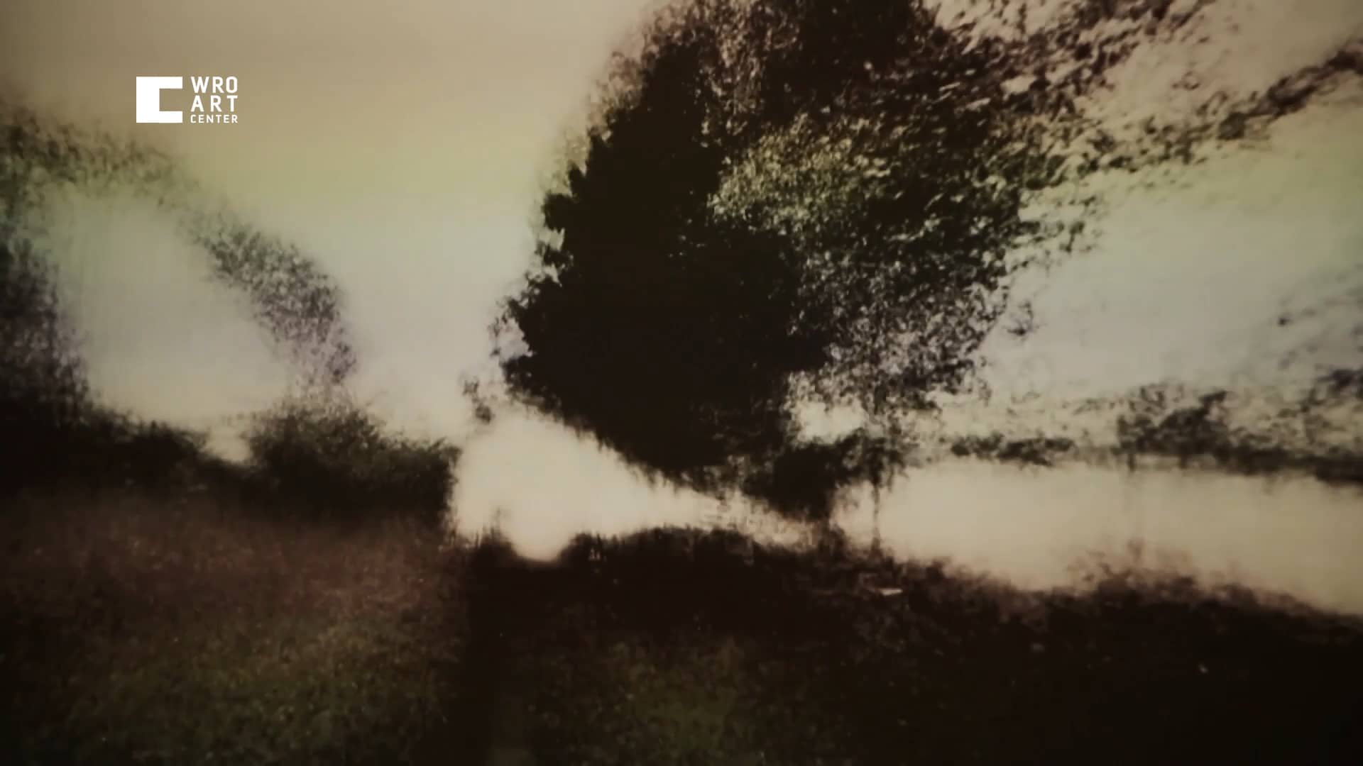 Alexandre Larose: brouillard #19 / WRO 2017 DRAFT SYSTEMS on Vimeo