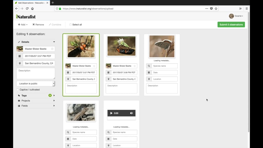 Fungi Blitz - Capricorn Conservation Council