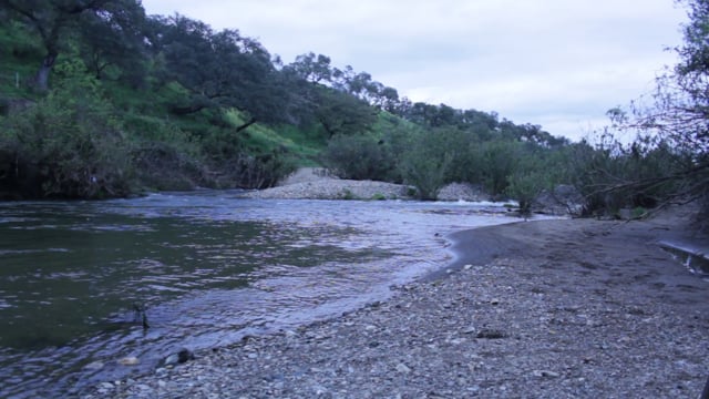 Rio Rivera Andaluzia - Free video on Pixabay - Pixabay