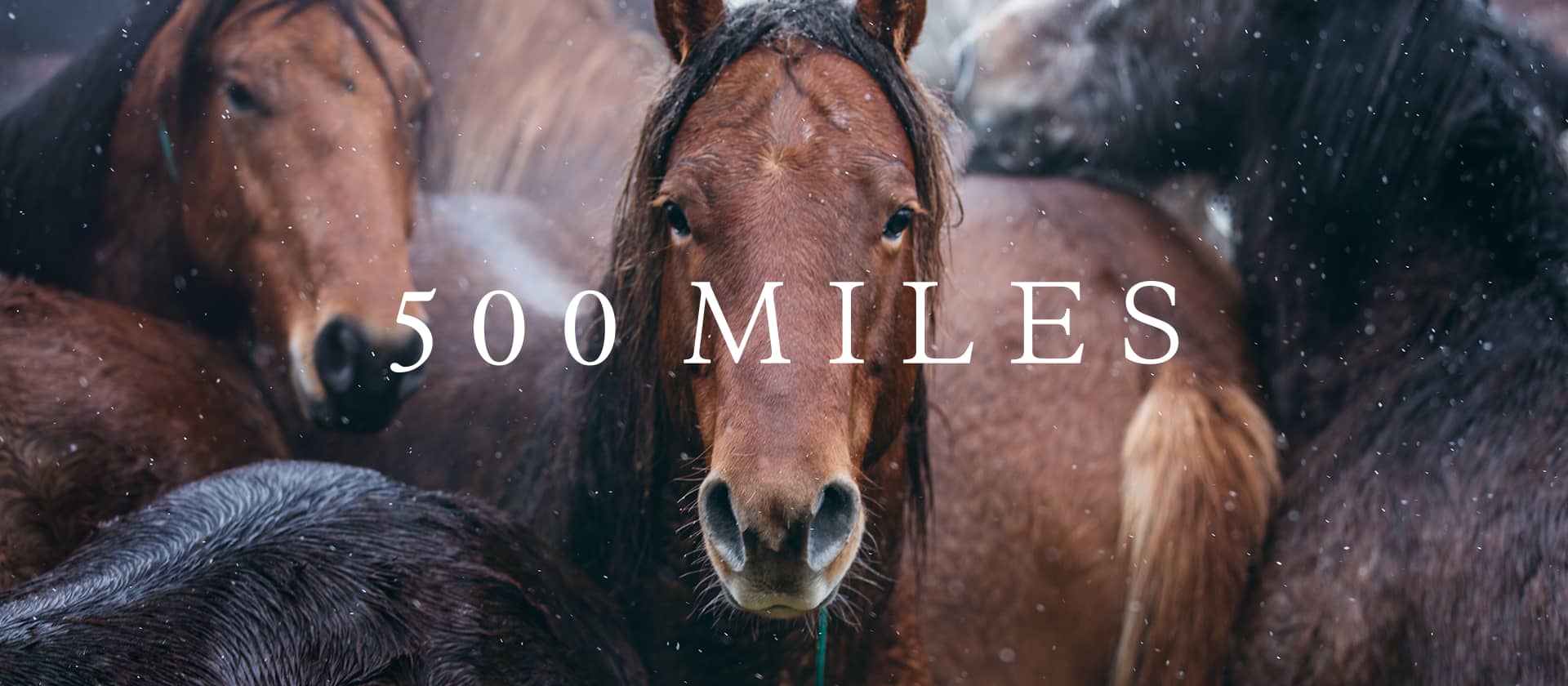 500 MILES in Documentary on Vimeo