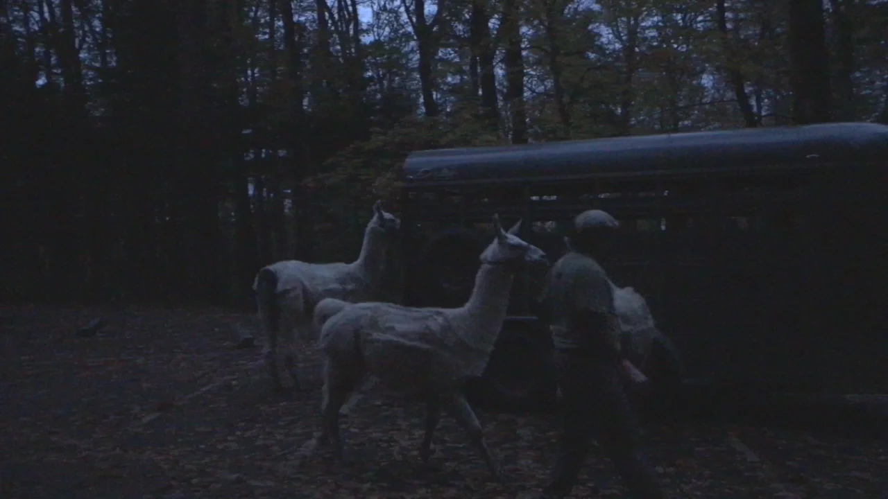 LeConte Lodge Llamas on Vimeo