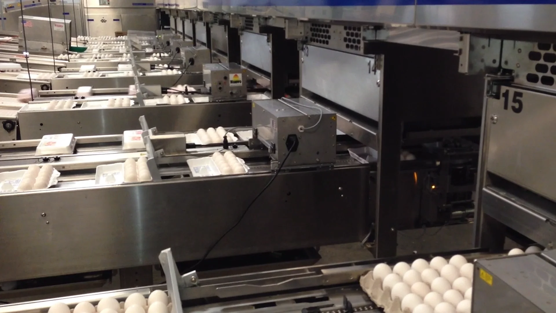 Nuovo Egg Stamper - Easy Stamp R6 on Omnia on Vimeo