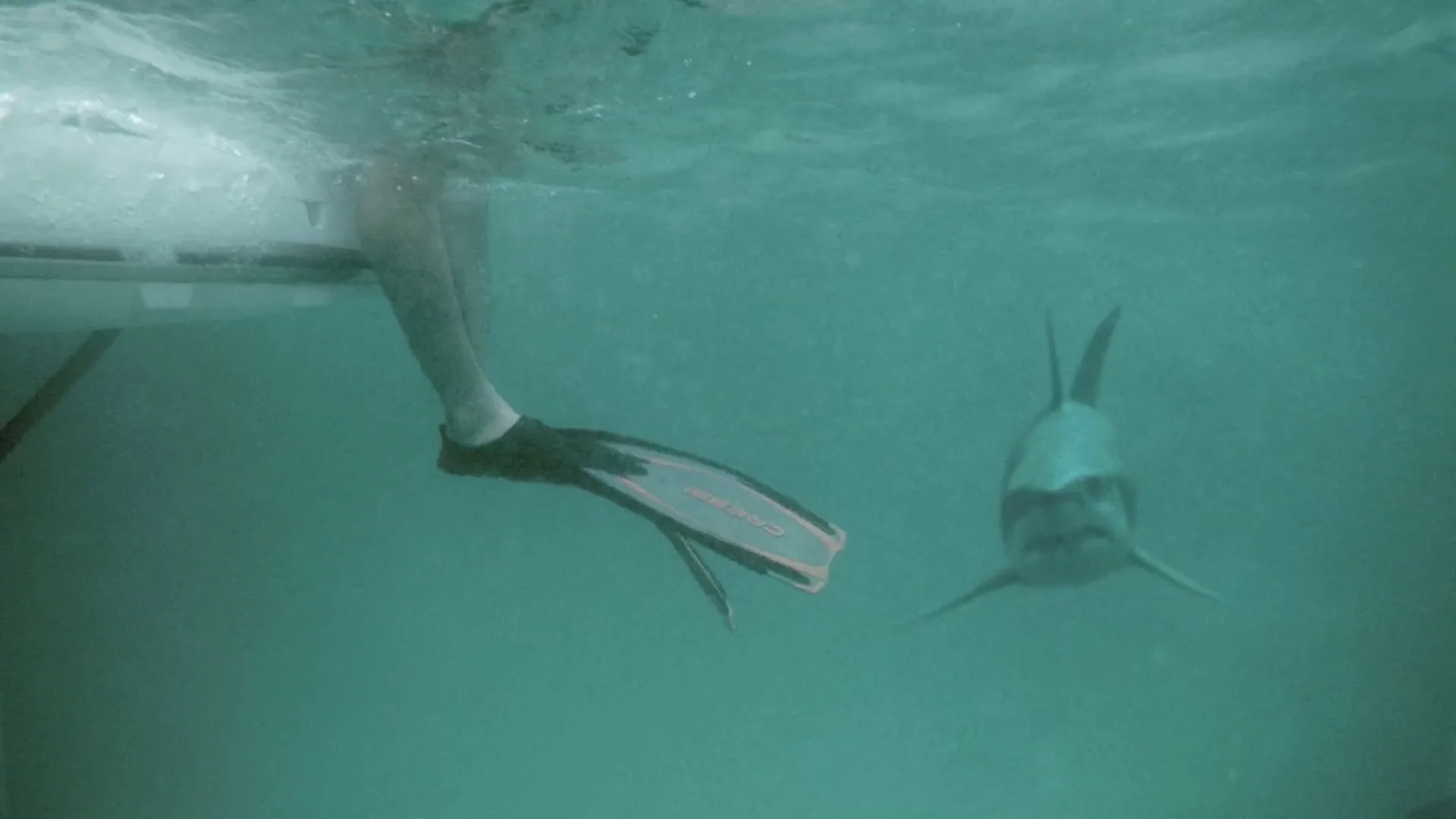 Stacy Wall for Co op - STACY WALL | MICROSOFT | REALLY on Vimeo