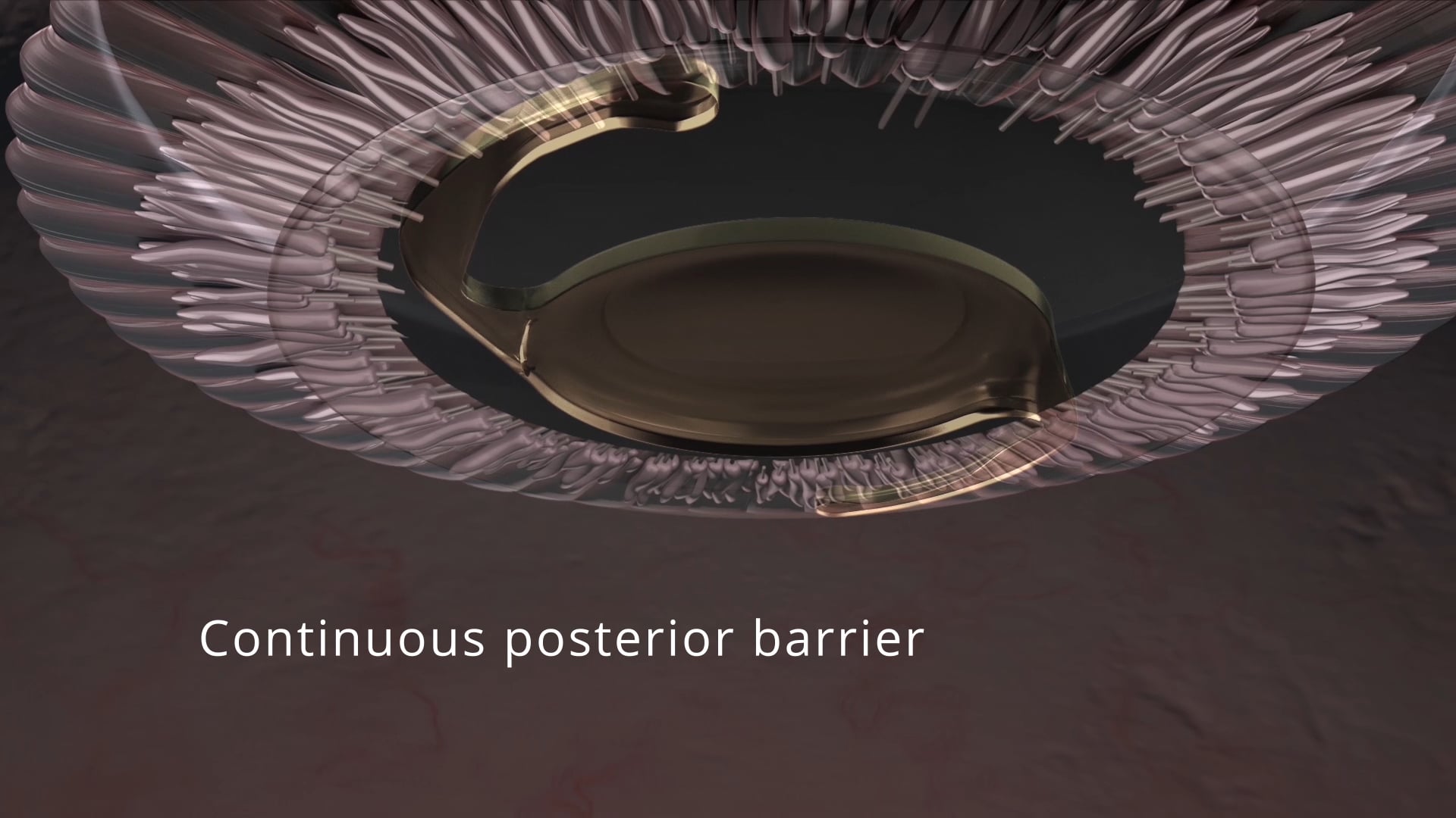 Explainer samples - Clareon AutonoMe Combined_Animation on Vimeo