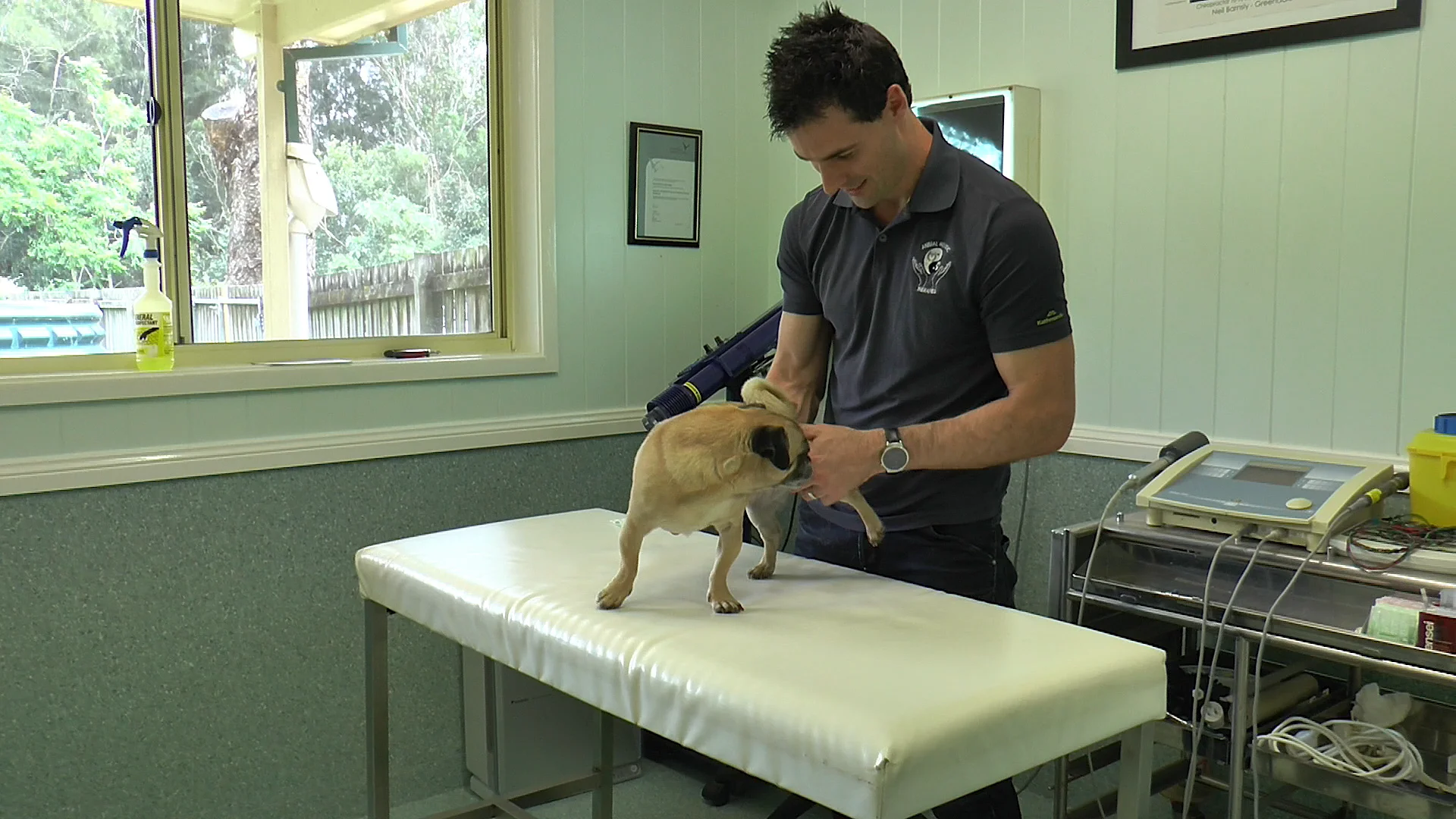 Neil Barnsley - Training from my father on Vimeo