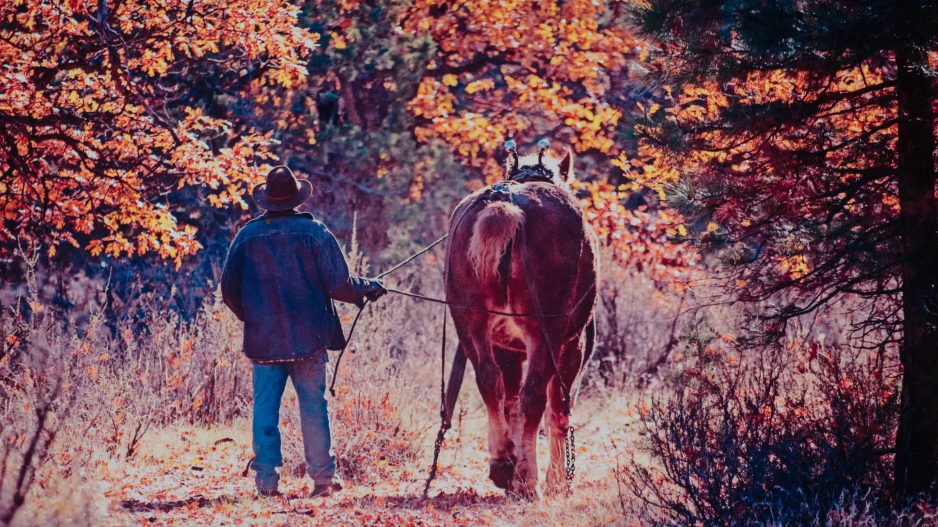 Jeff Rosenbaum A life Well Lived on Vimeo