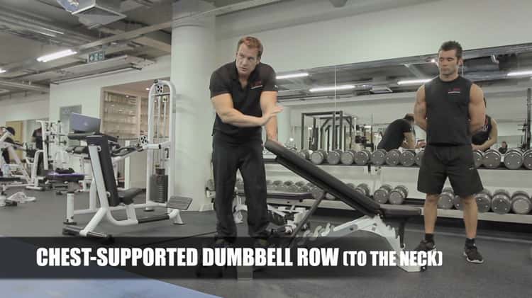 Chest Supported Dumbbell Row