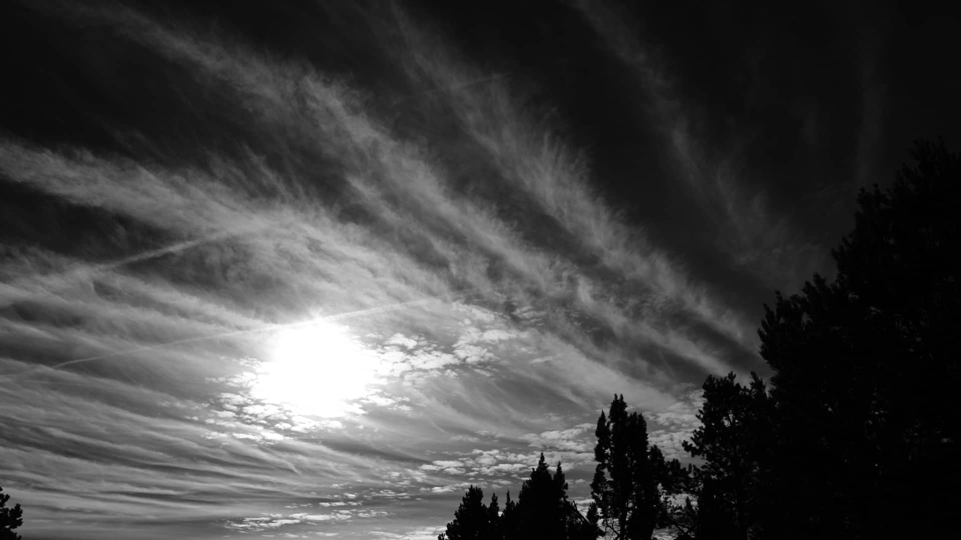 Sony Alpha A7r Mark III sample movie: S&Q / 1080p / 1fps at 60p ...