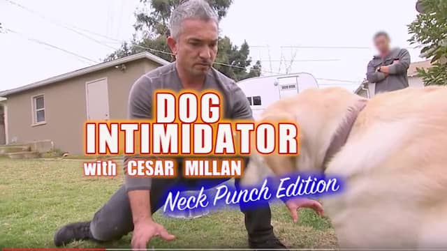 Malignant Behavior: The Cesar Millan Effect on Vimeo