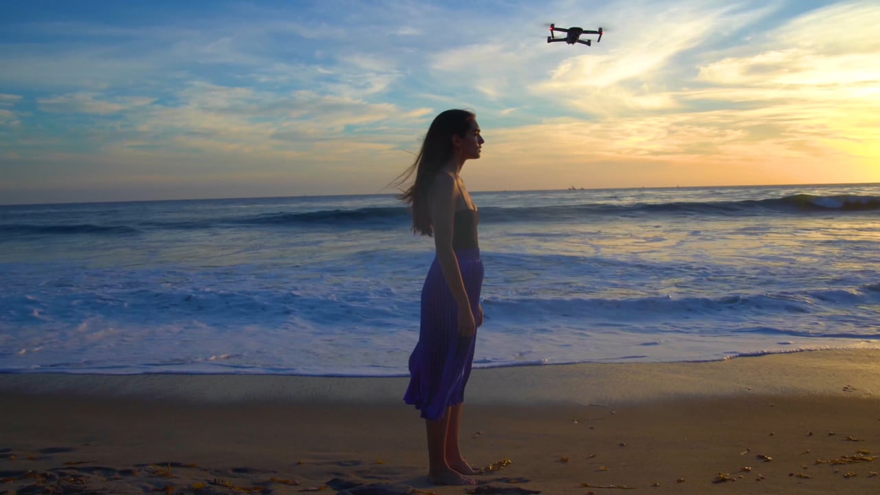 TED EMMONS - FRANCES FLORENCE