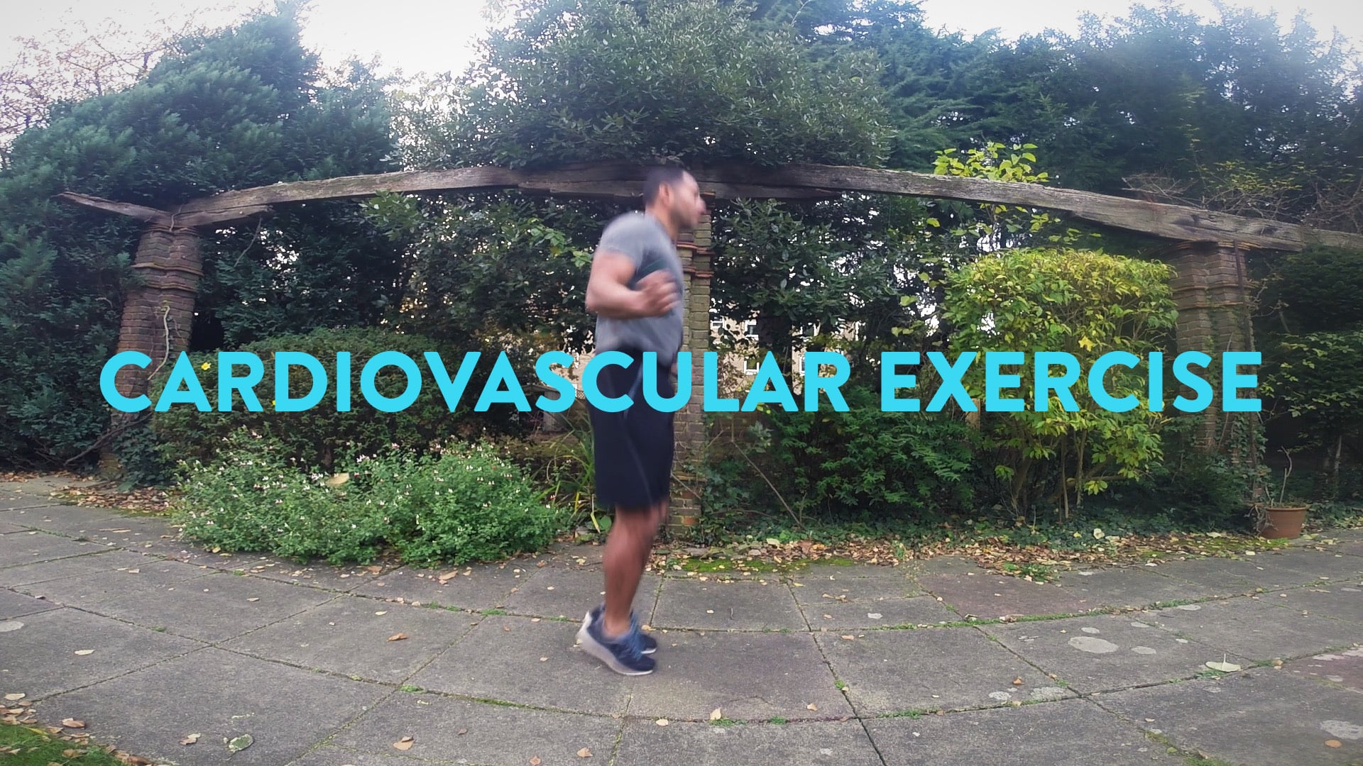 Cardiovascular Exercise on Vimeo