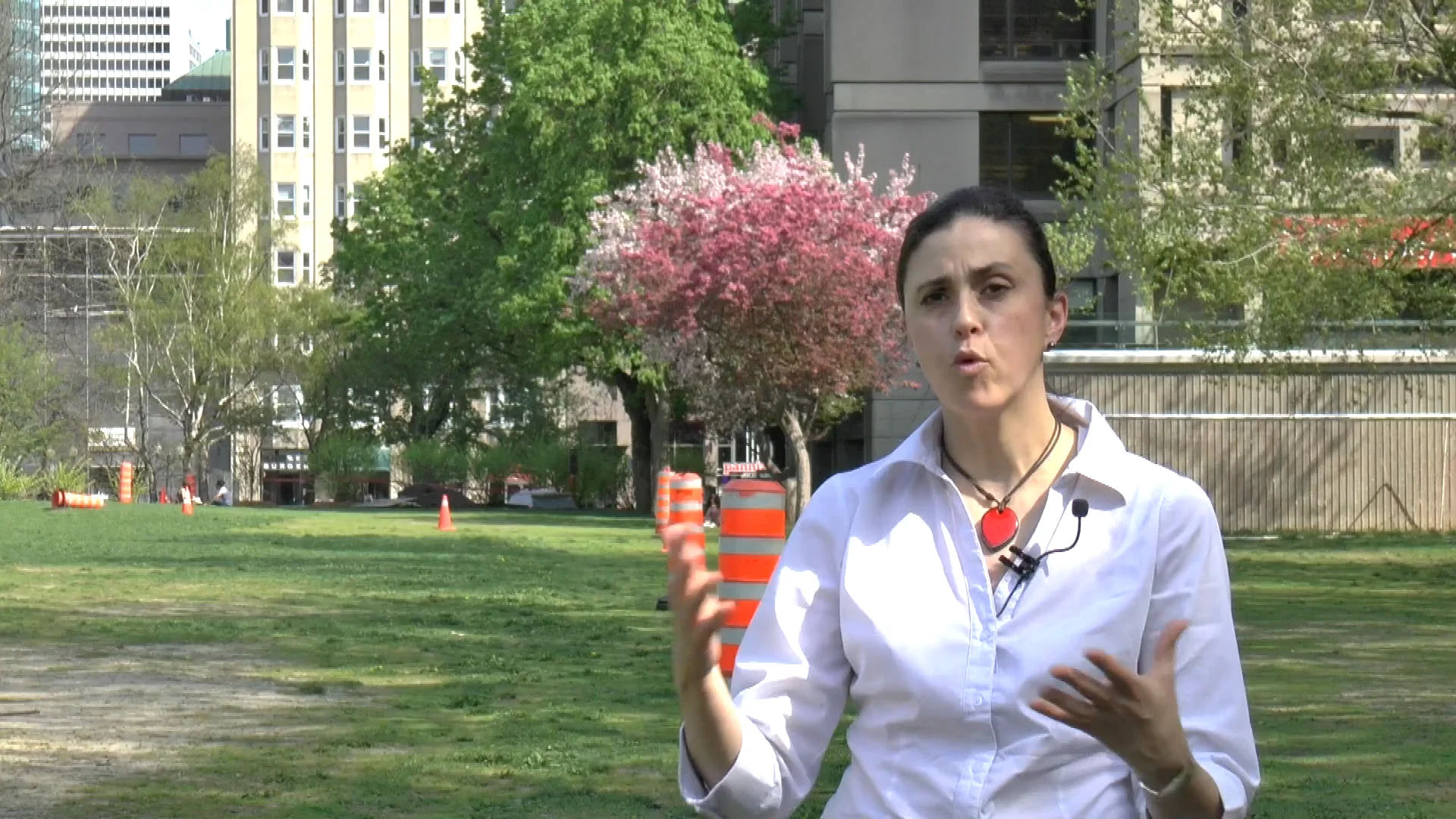 SES-B1 Inter- et transdisciplinarité, Anne-Hélène Prieur-Richard on Vimeo