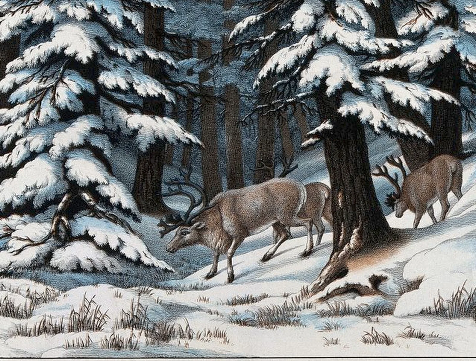 Remembering The Deer Mother of Winter Solstice