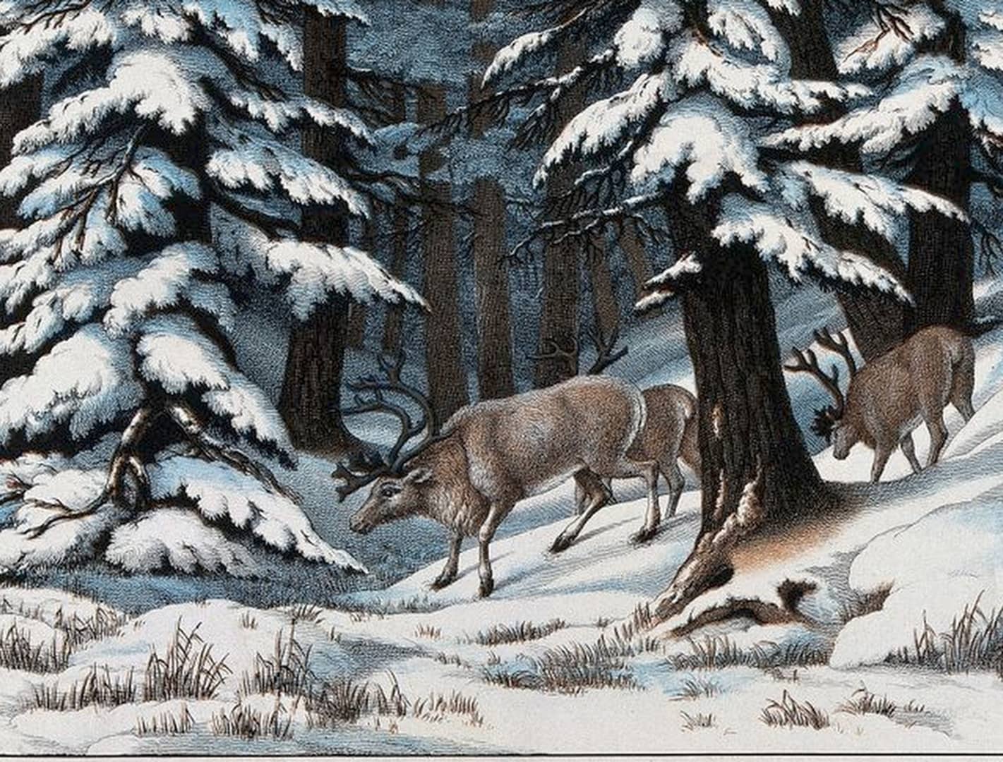 Remembering The Deer Mother of Winter Solstice on Vimeo