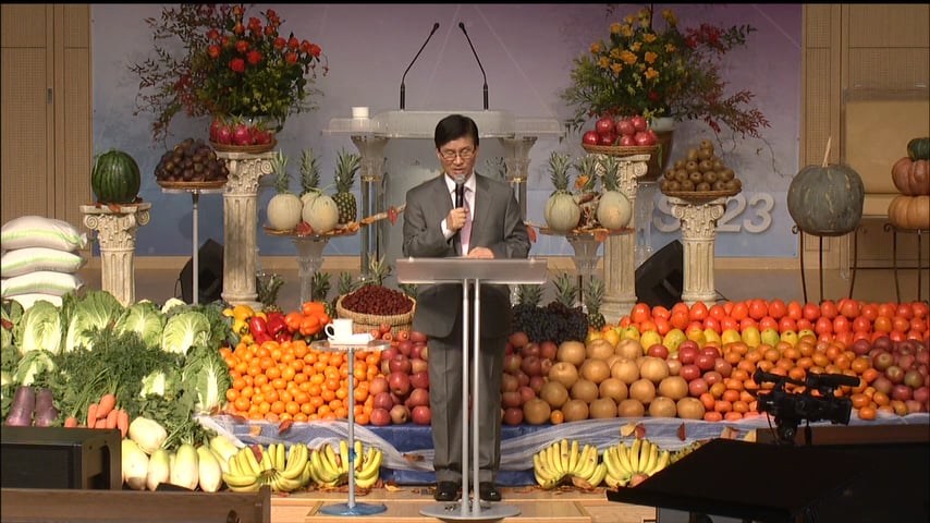 171119_sunjang on Vimeo