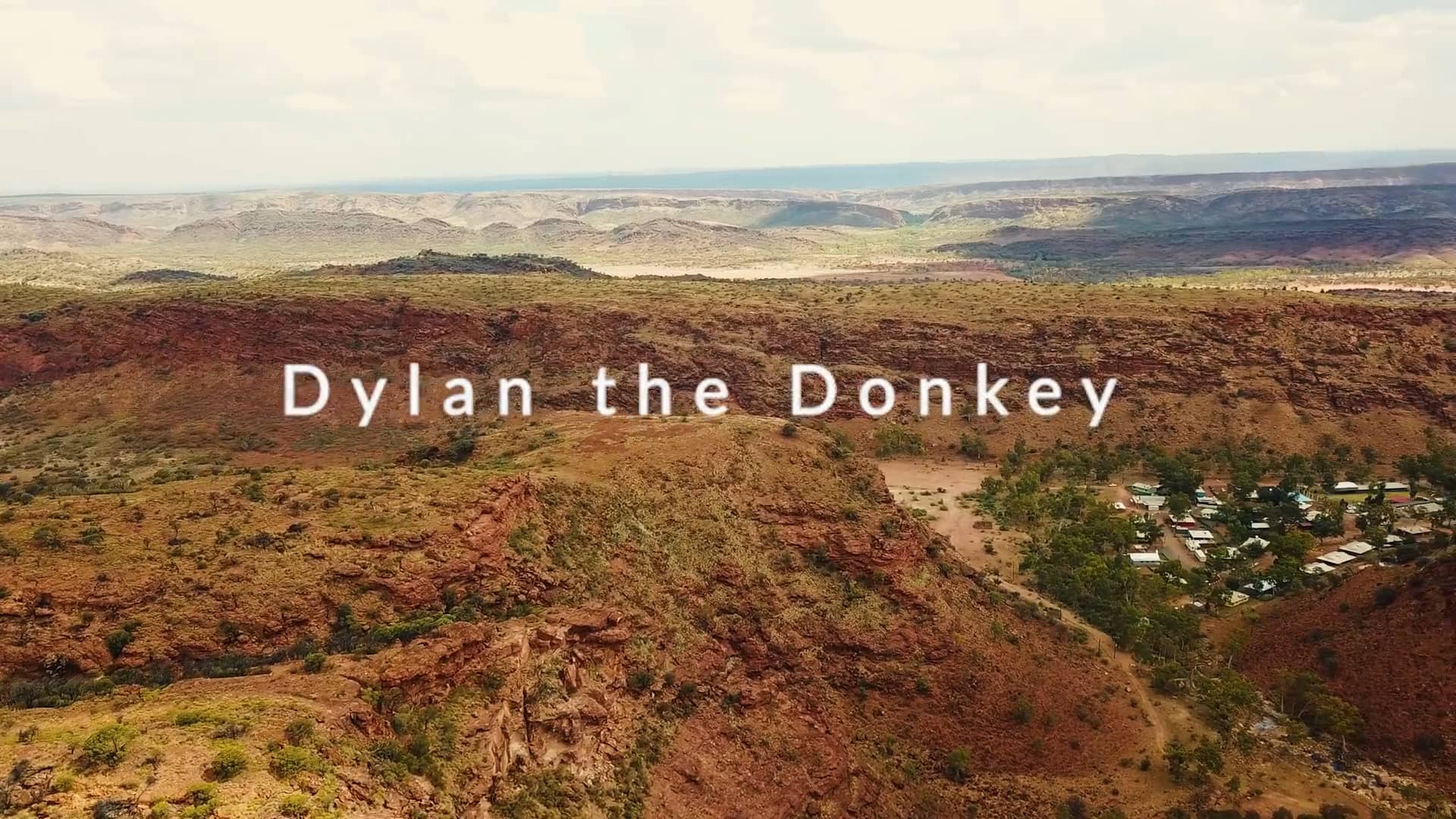 Dylan the Donkey - Areyonga 2017 on Vimeo