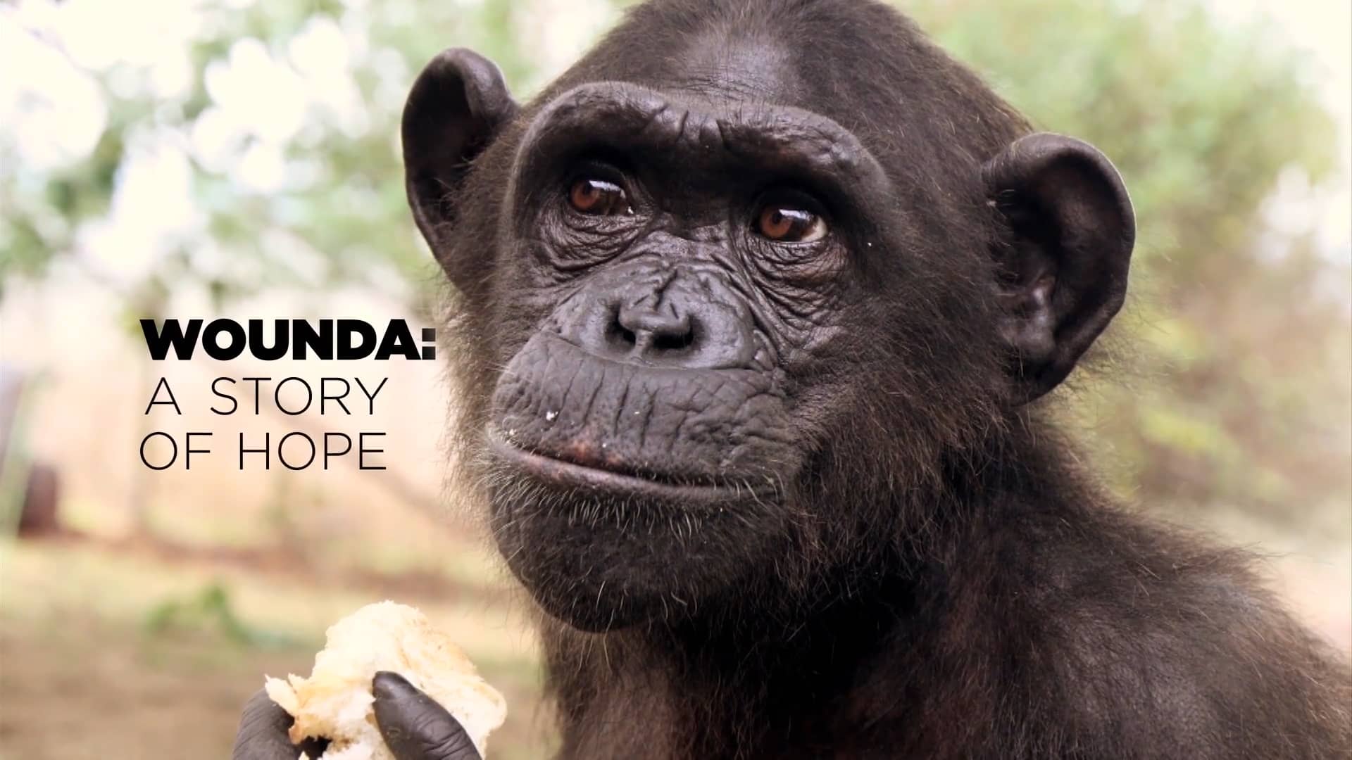 Wounda: A Story of Hope on Vimeo