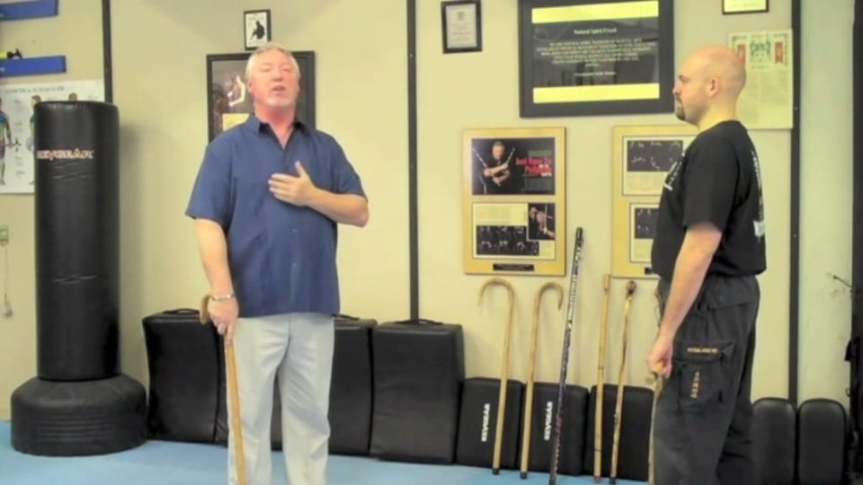 Watch Defensive Walking Cane Online | Vimeo On Demand on Vimeo