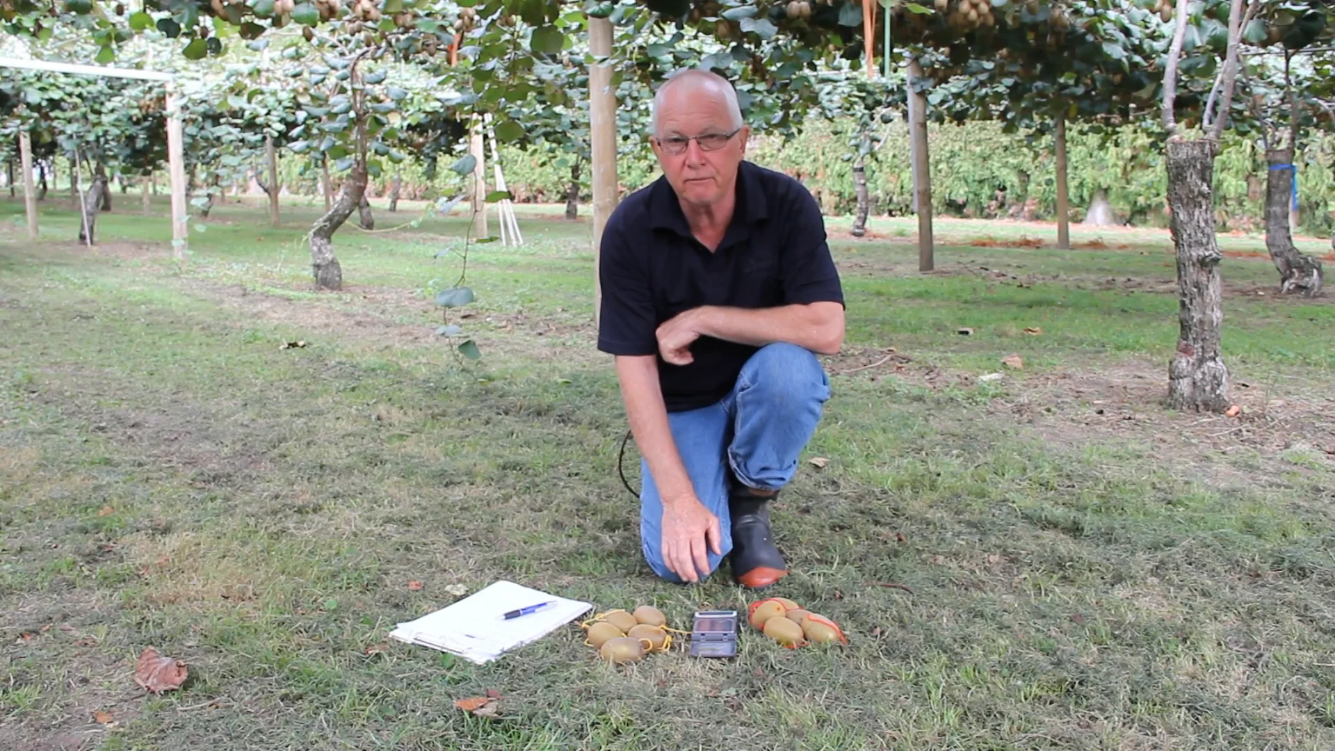 Assessing Pollination Part 2