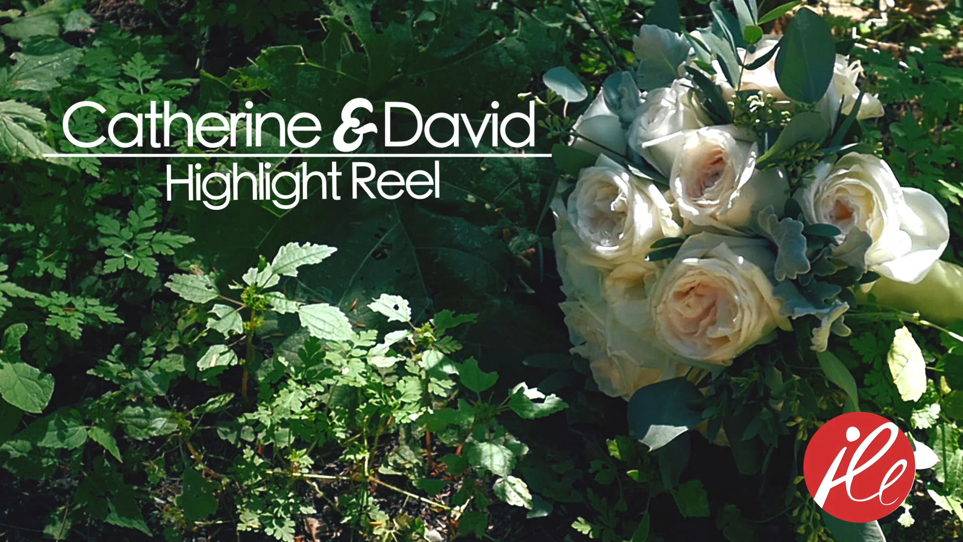 Catherine & David Highlight Reel