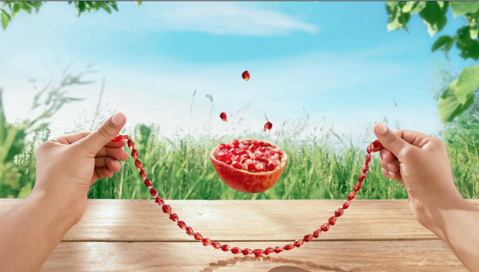 Nada Fruit Stop-motion commercial on Vimeo