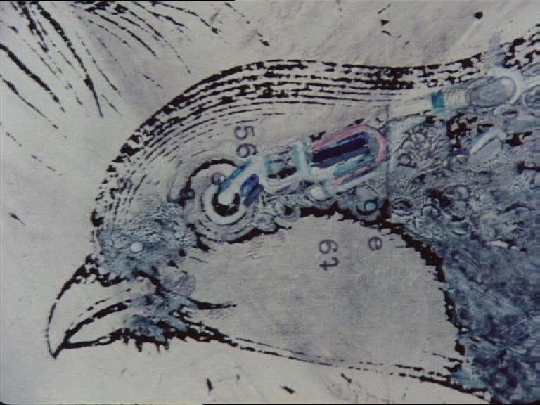 THE FALLS (Peter Greenaway, 1980) on Vimeo