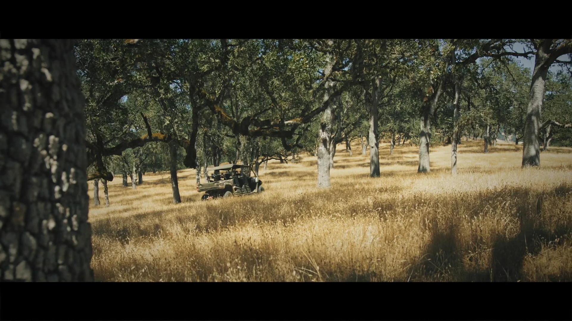 6-Point Ranch, Potter Valley, CA