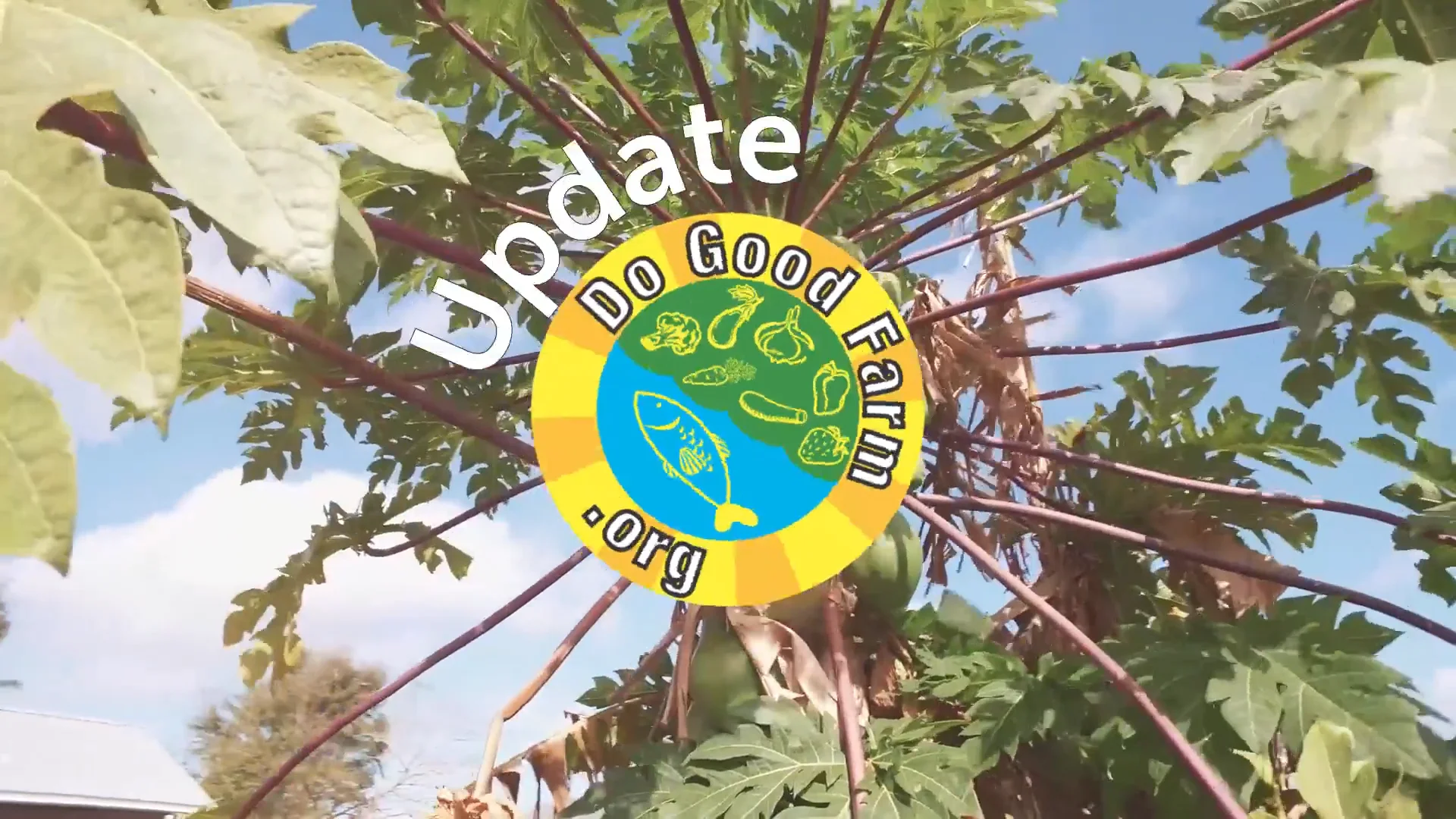Do Good Farm Year End Update 2017 on Vimeo