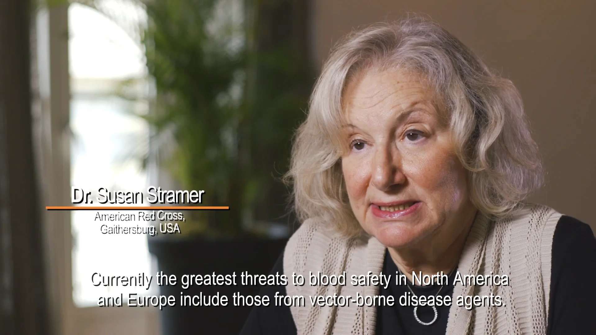 Interview with Dr. Susan Stramer on Vimeo