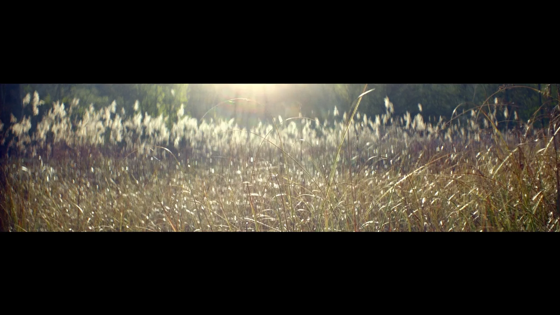 REEL IVAN CASO DOP - DONUTS on Vimeo