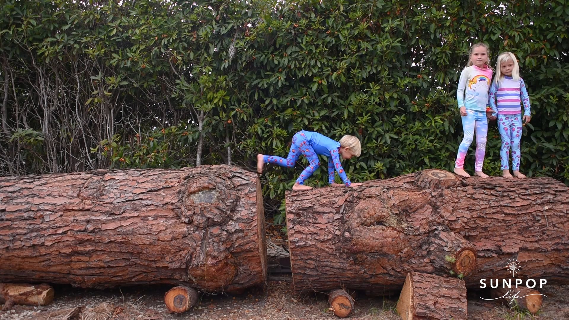 Sun Pop Life _ 15_Land on Vimeo