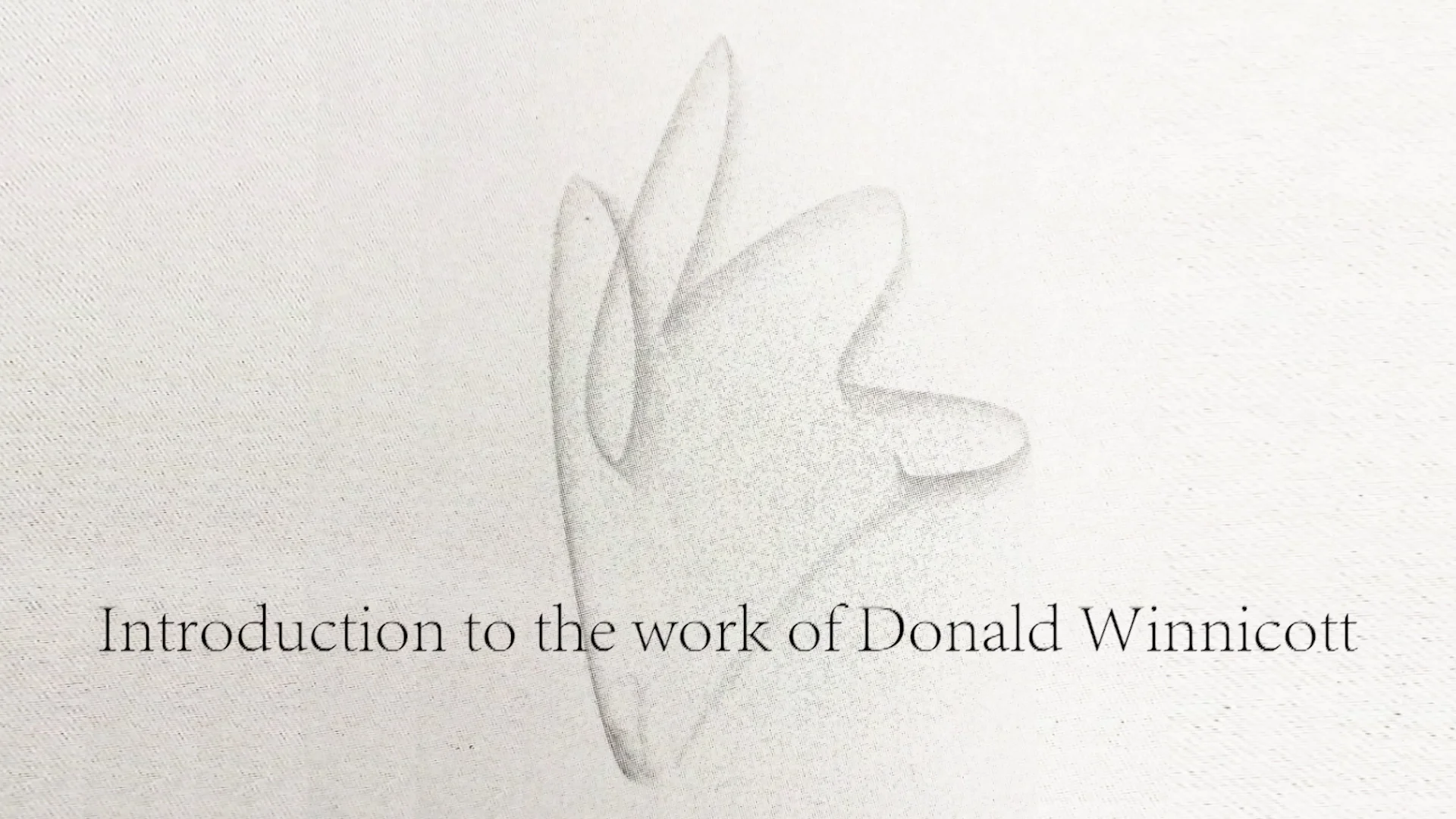 Trailer - Introduction to the work of Donald Winnicott on Vimeo