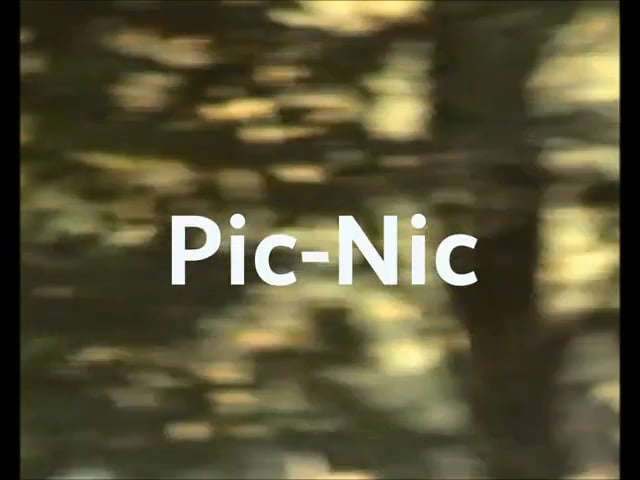 Pic-Nic - Lisa Spilliaert on Vimeo