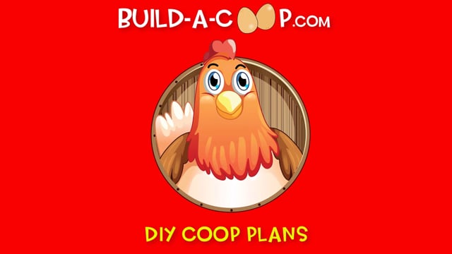 Chicken Coop Plans on Vimeo