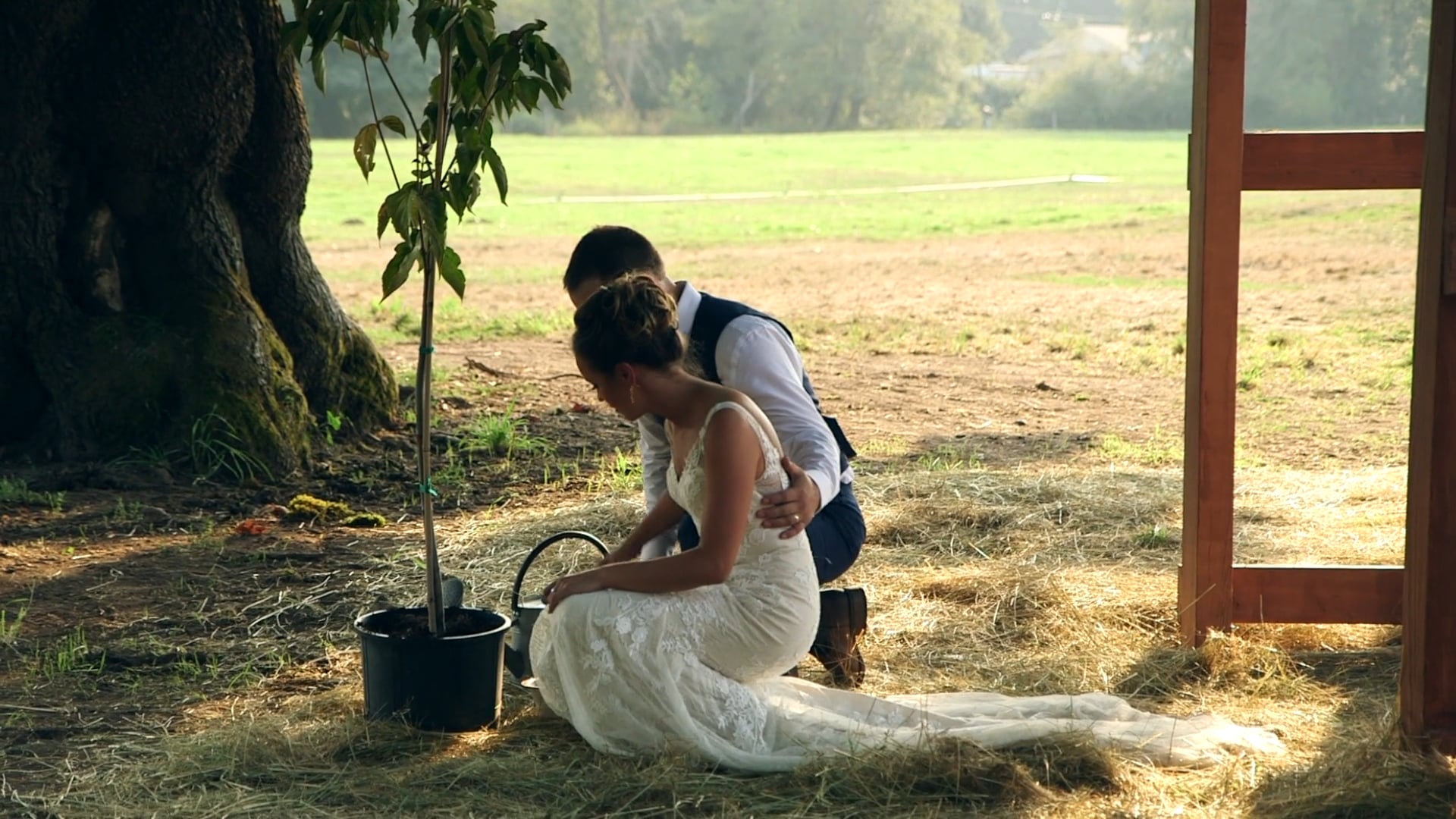 Charlie + Chelsie // The Beard Wedding on Vimeo