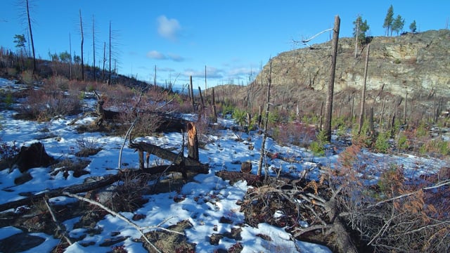 Wildfire Videos: Download 18+ Free 4K & HD Stock Footage Clips - Pixabay