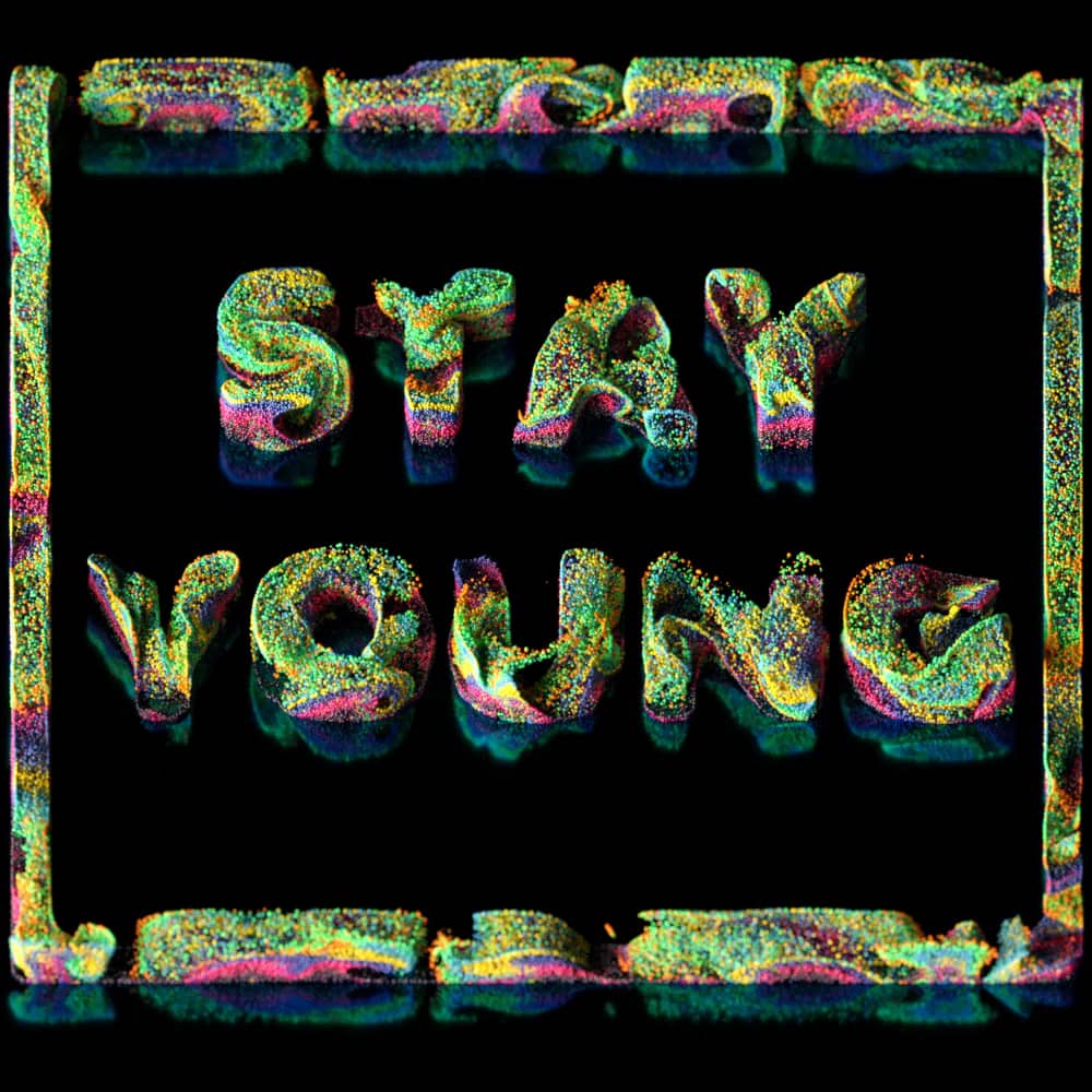 STAY YOUNG on Vimeo