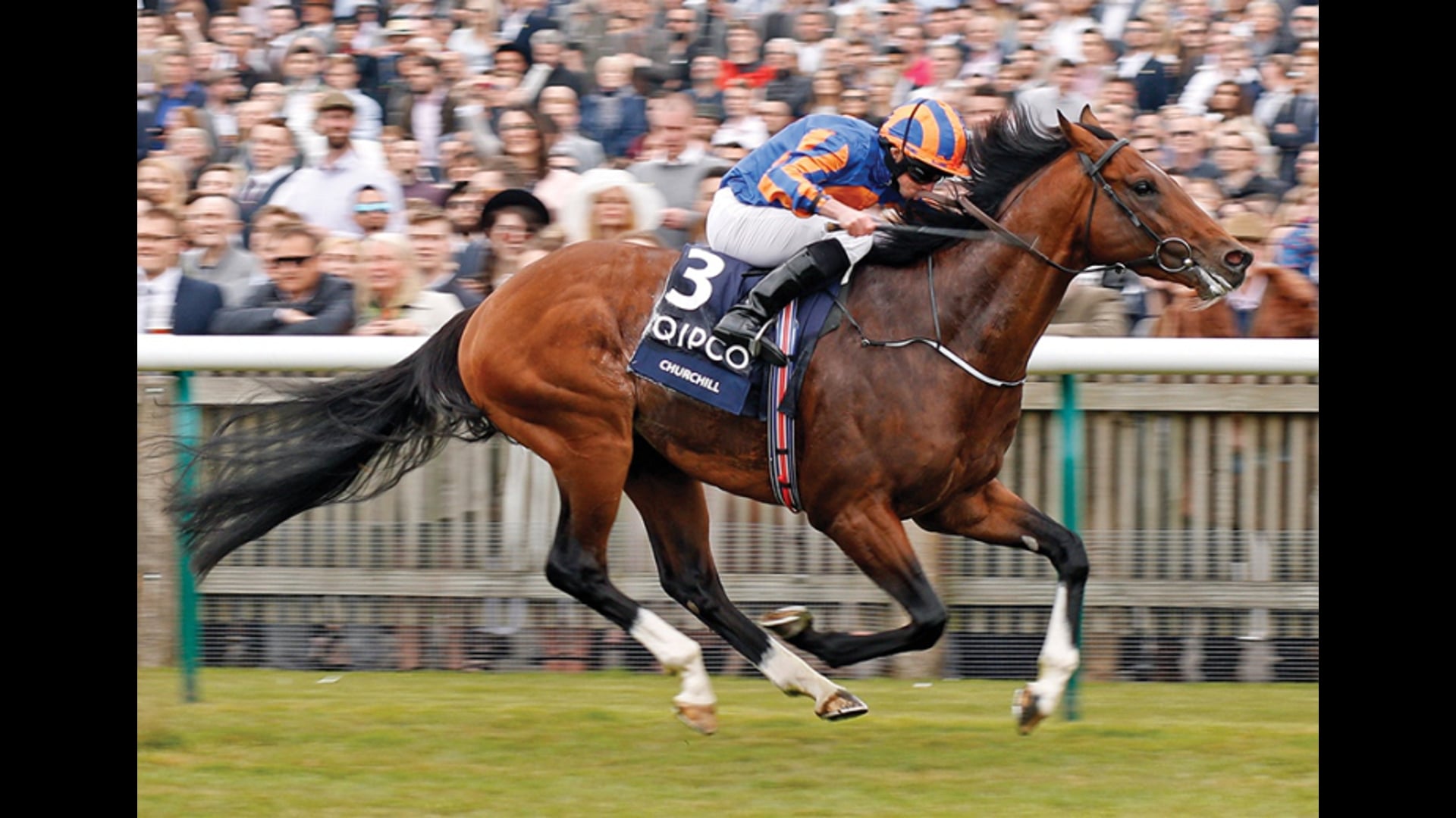 Churchill | Stallions - Coolmore