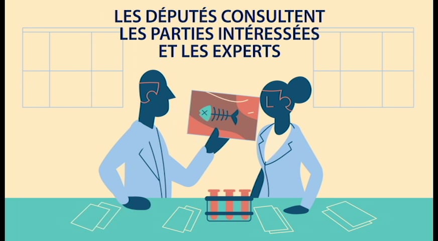 HTEPW - How do MEP's represent me? on Vimeo