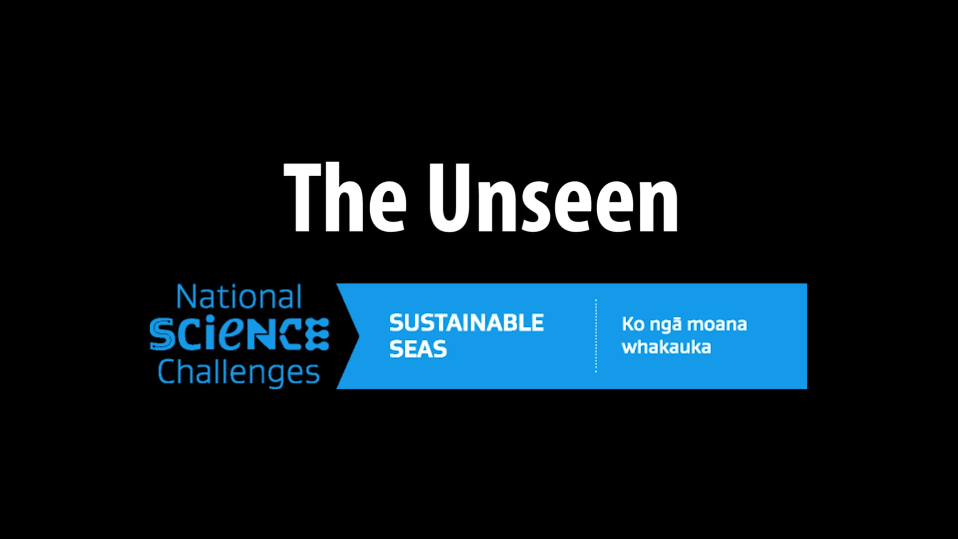 The Unseen on Vimeo
