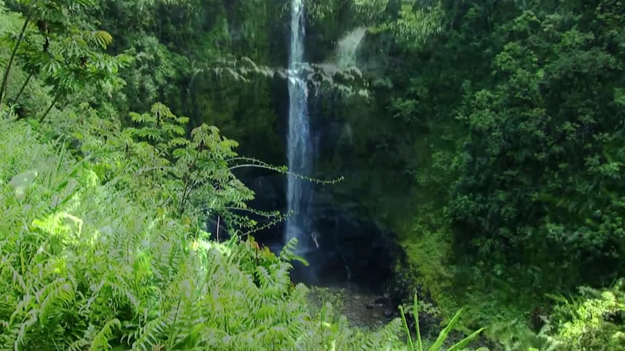 Another Shade of Blue Promo on Vimeo